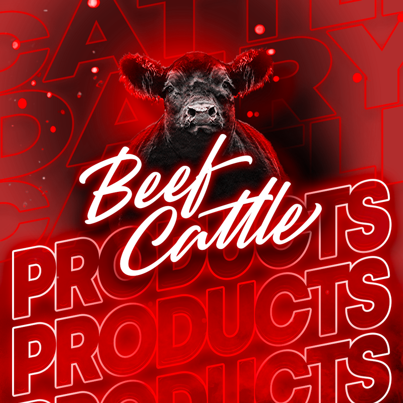 Next Level Livestock Camps Store