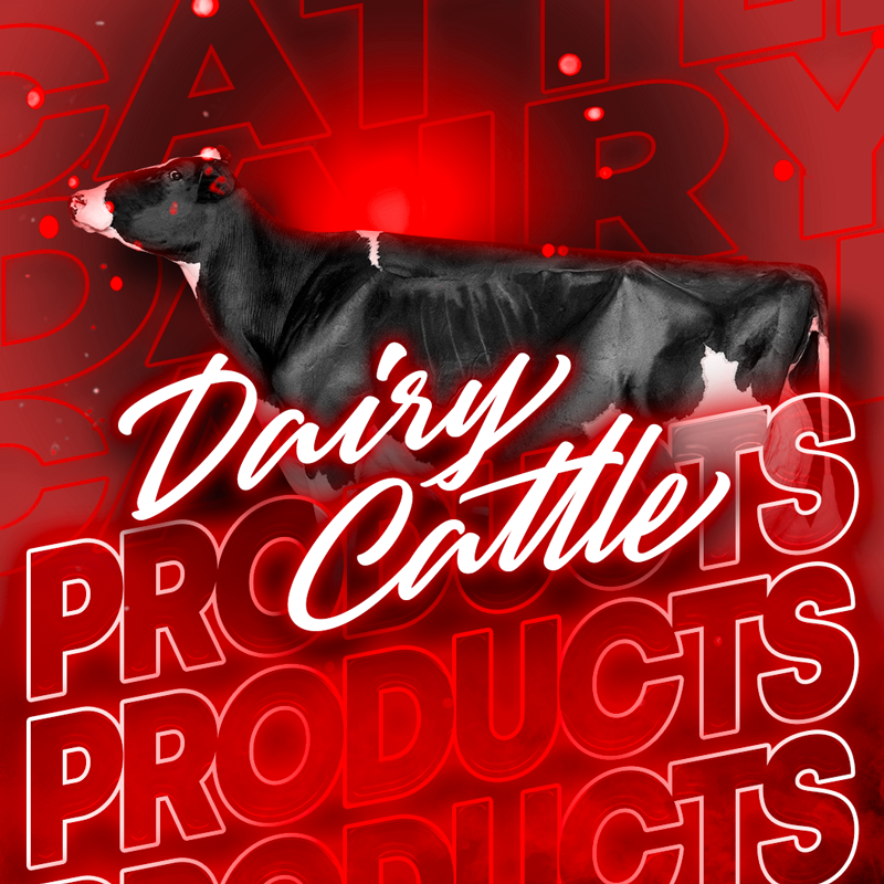 Next Level Livestock Camps Store