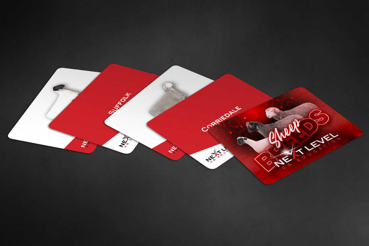 Sheep Breed Identification Flashcards - Next Level Livestock Camps