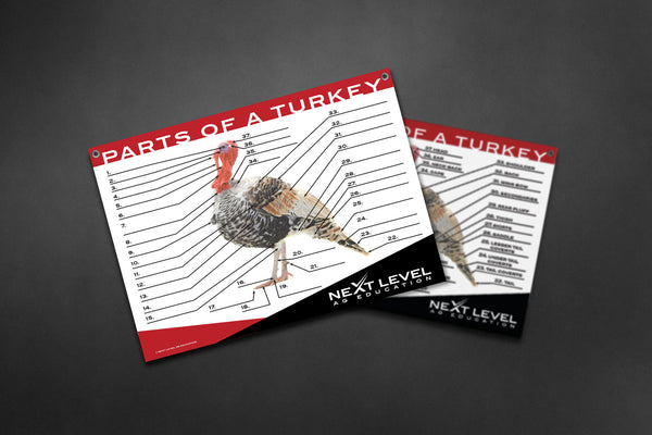Interactive Turkey Anatomy Teaching Chart - 40” x 30” - Next Level ...