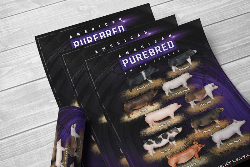 Hog Breed Poster/Banner - Next Level Livestock Camps