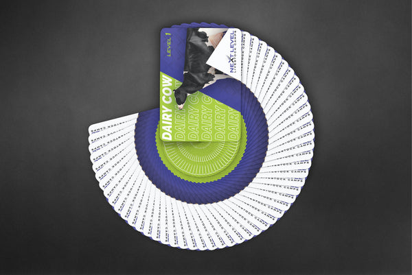 3 Deck Multi-Level Dairy Cattle Showmanship Flashcard Bundle - Next ...