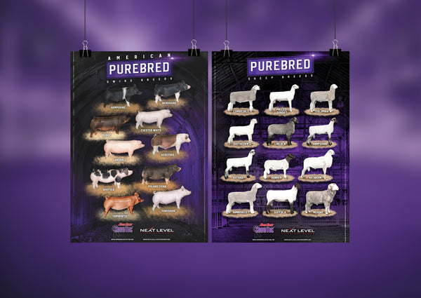 Sheep Breed Poster/Banner - Next Level Livestock Camps