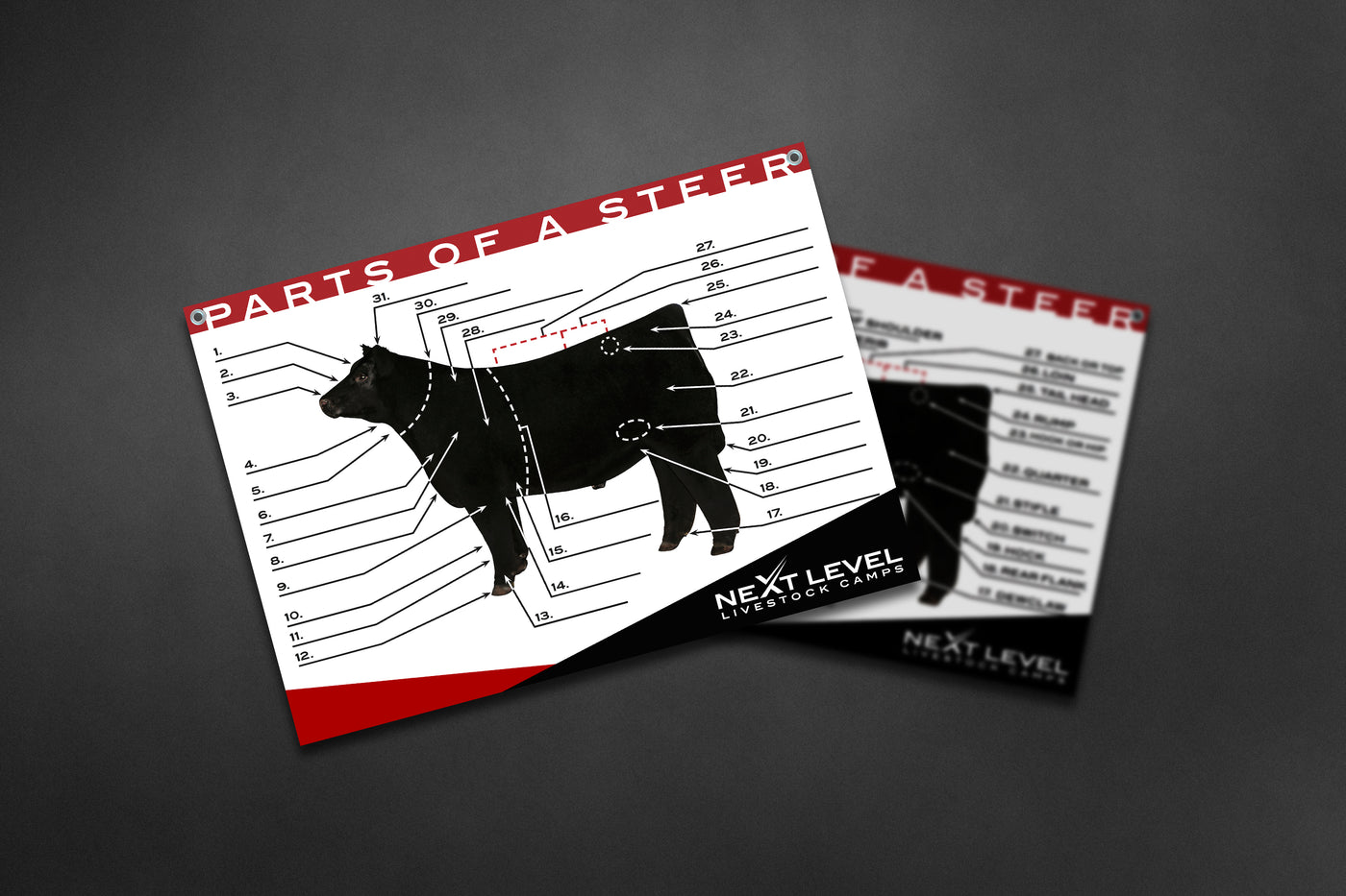 INTERACTIVE ANATOMY RESOURCES - Next Level Livestock Camps
