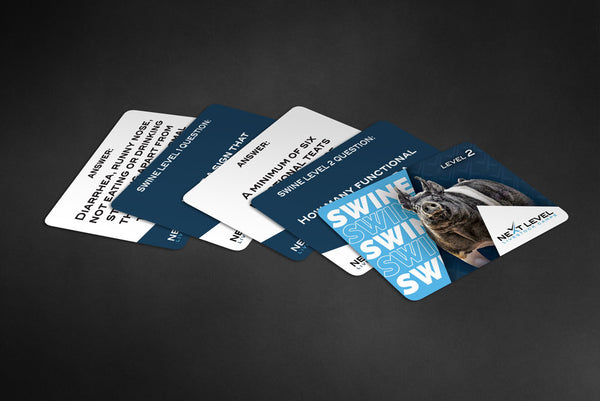 3 Deck Multi-Level Swine Showmanship Flashcard Bundle - Next Level ...
